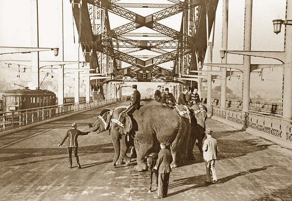 Bridges Tagged "CIRCUS" - Historic Photos